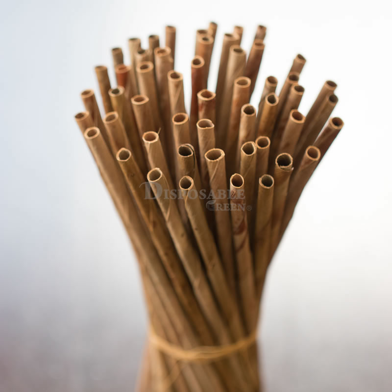 8mm Coconut Palm Leaf Straws - Disposable Green